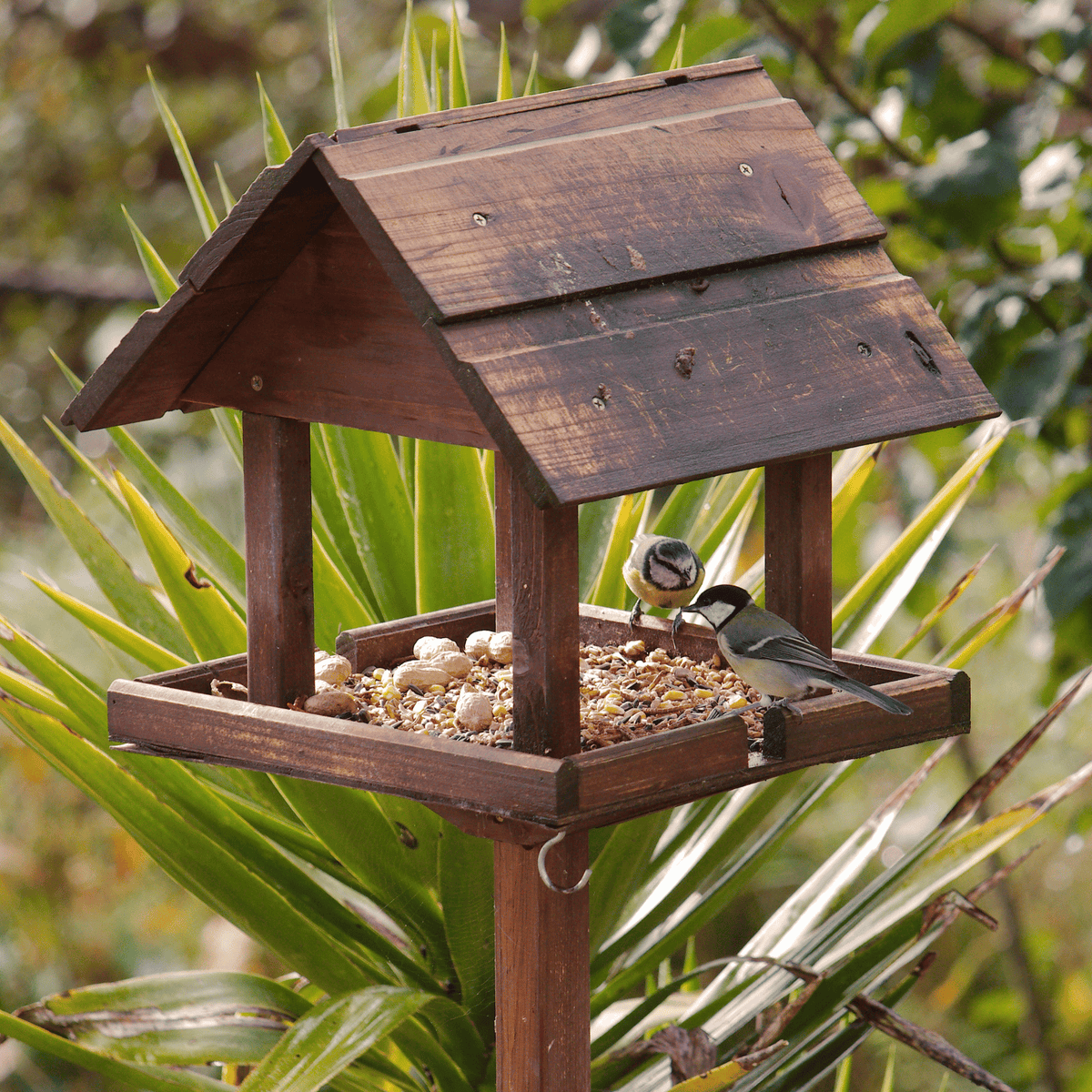 Bird Tables | Oaktree Garden Centre