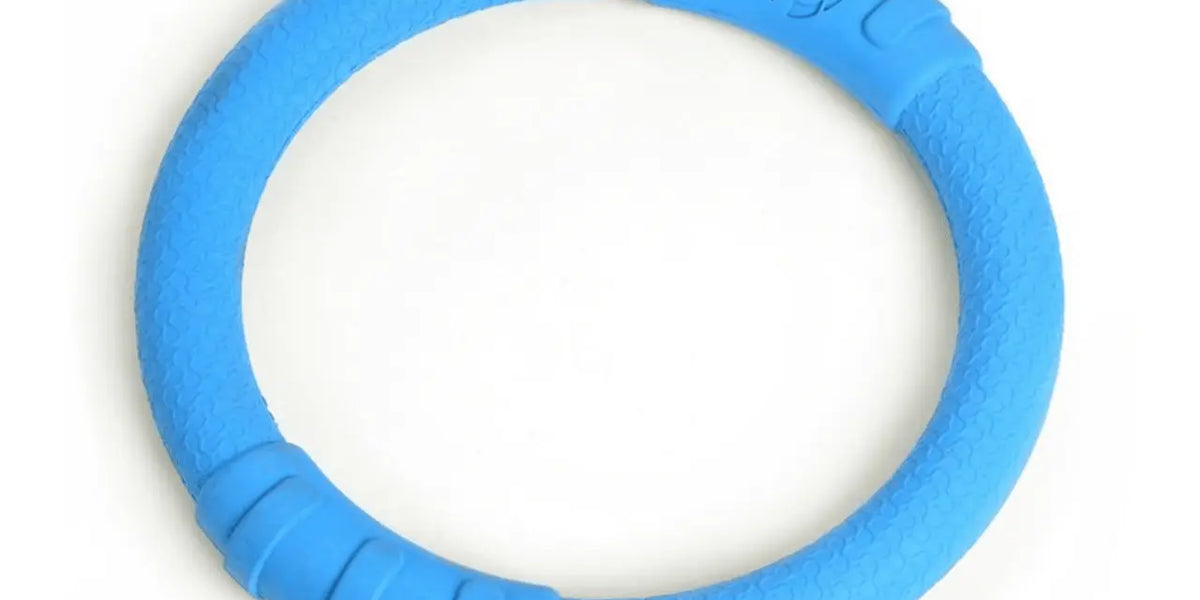 Toyz Rubber Ring Dog Toy - Large | Petface | Oaktree Garden Centre