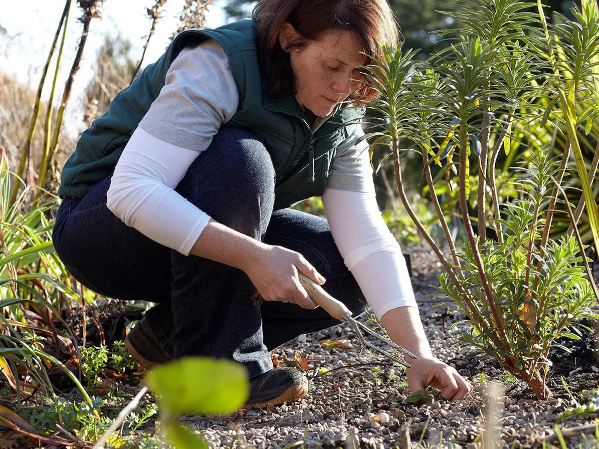 Burgon & Ball RHS Weeding Fork | Oaktree Garden Centre